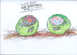 Molecular biology cartoons – Good Science Writing