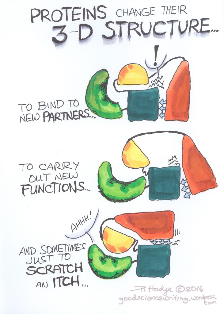 More molecular biology cartoons – Good Science Writing