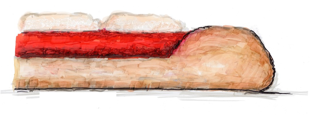 THE EVOLUTION OF PIZZA: Novel insights into the fourth domain of life ...