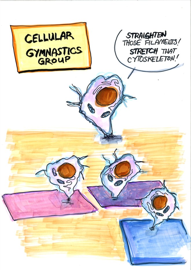 Molecular biology cartoons – Good Science Writing