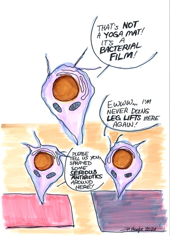 Molecular biology cartoons – Good Science Writing