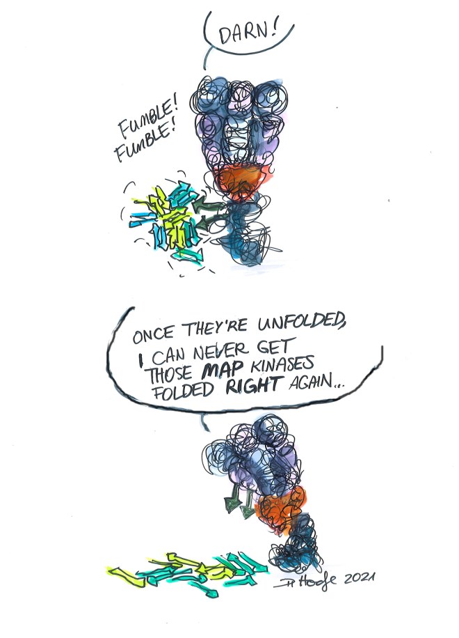 Molecular biology cartoons – Good Science Writing