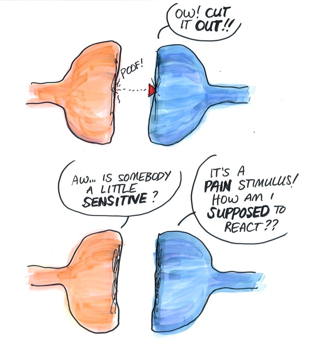 Molecular biology cartoons – Good Science Writing