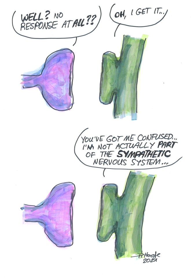 Molecular biology cartoons – Good Science Writing